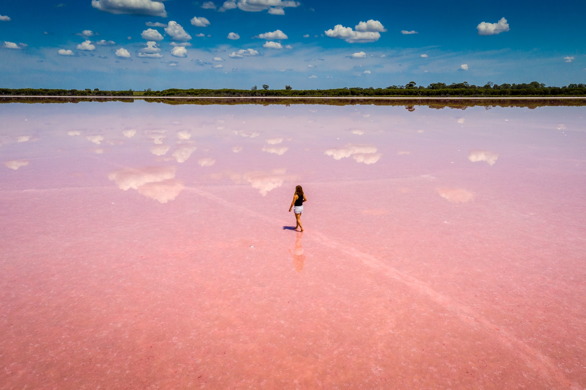 Mais Pourquoi Le Lac Rose Au Sénégal Est Il Si Spécial